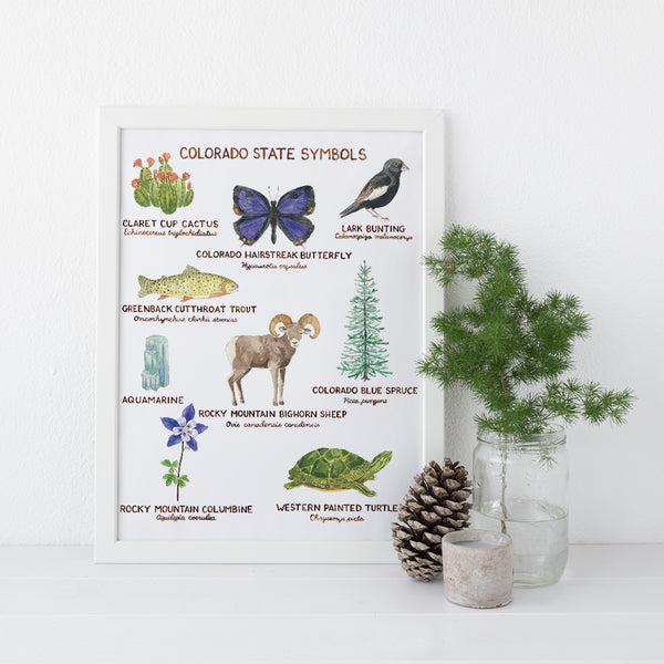 colorado symbols pictures