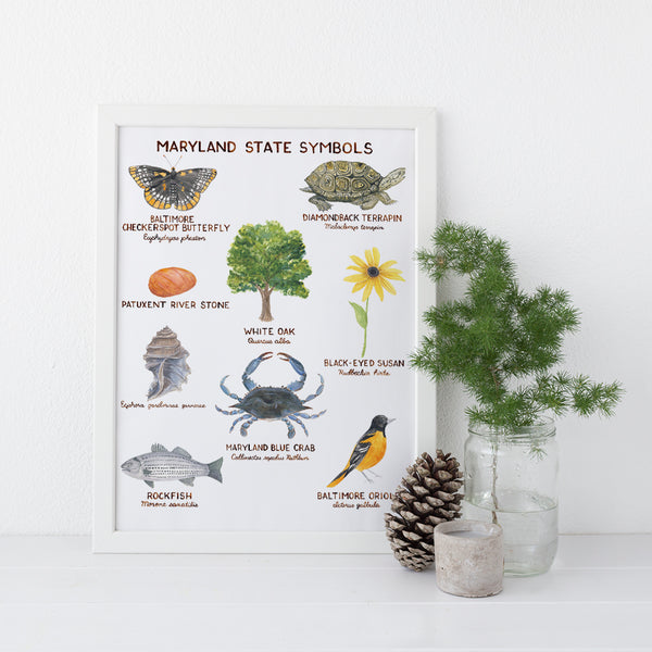 Maryland State Symbols Art Print – Yardia