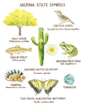 Arizona State Symbols Art Print – Yardia