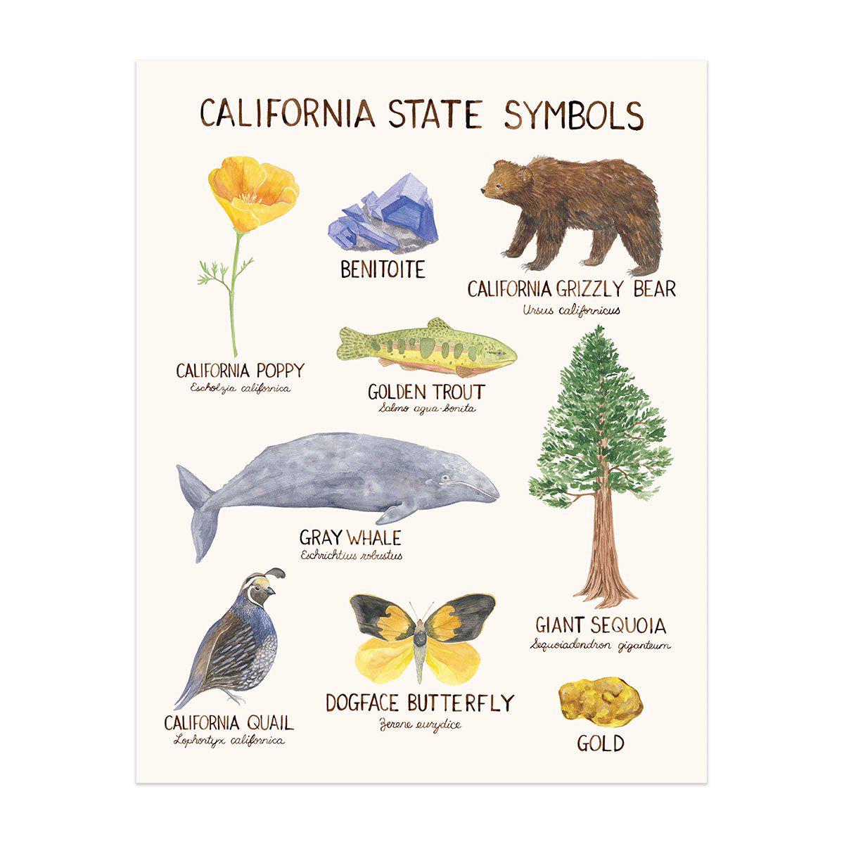 California State Symbols Watercolor Art Print – Yardia