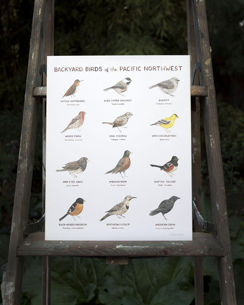 Backyard Birds of the Pacific Northwest Art Print – Yardia