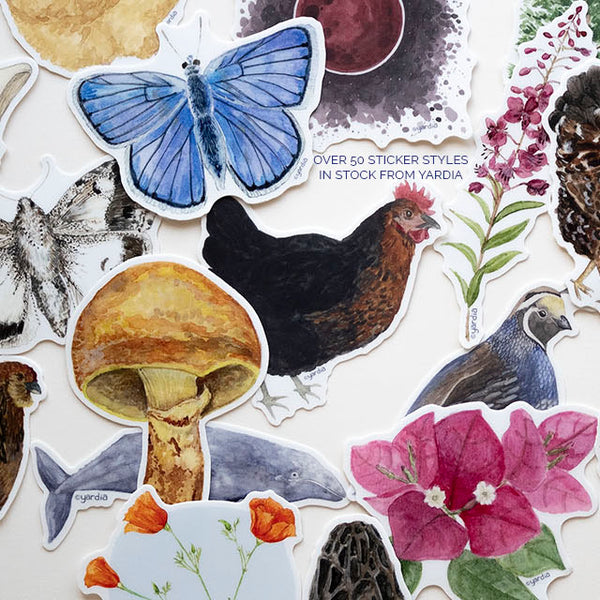 Giant Sequoia - Watercolor California Redwood Tree Sticker – Yardia