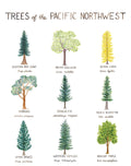 Pacific Northwest Trees Watercolor Art Print – Yardia