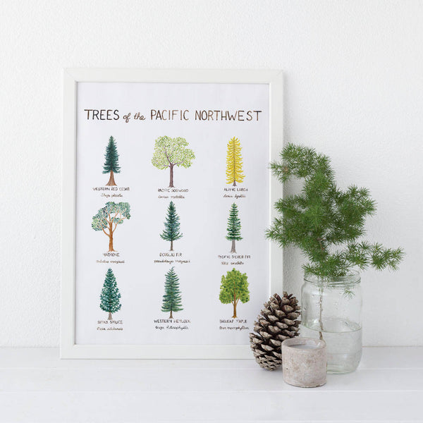 Pacific Northwest Trees Watercolor Art Print – Yardia