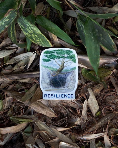 Resilience Tree Sticker – Yardia